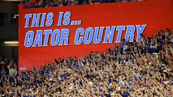 Florida lands transfer punter Miller Fealy - NewsBreak