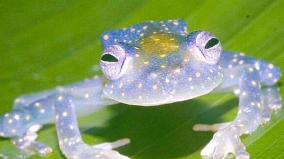 14 Creatures You Did not Know Will Surprise Even Experts - NewsBreak