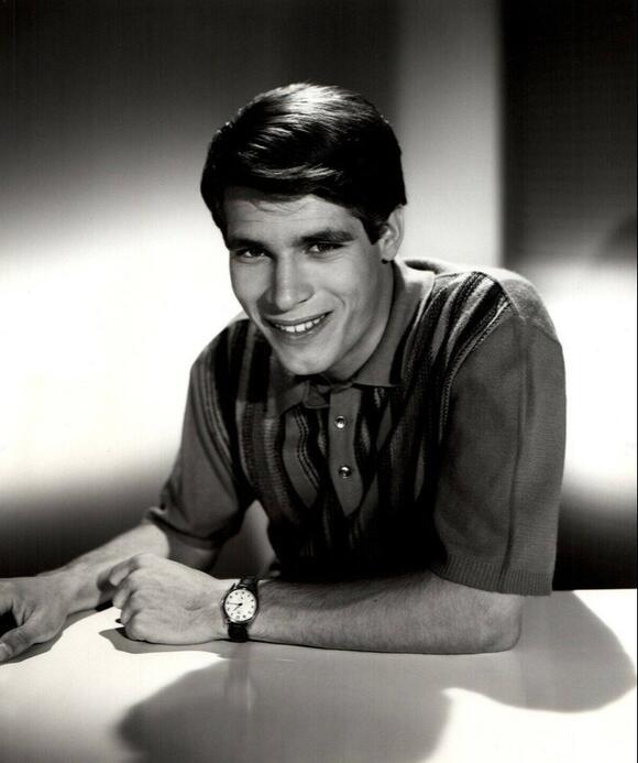 The Devastating Death of Former Child Star Don Grady: A Life Before ...