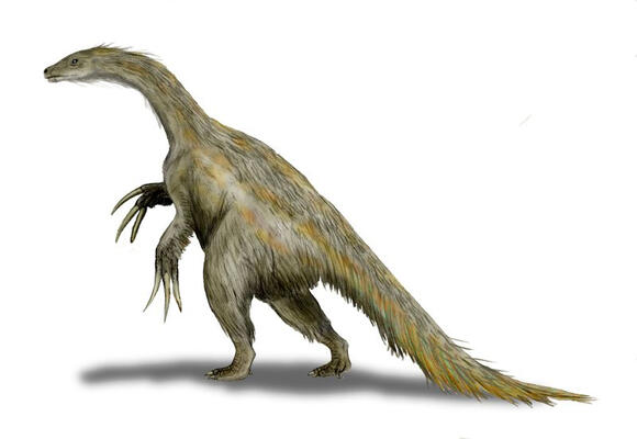 What Prehistoric Animal Resonates With Zodiac Sign Virgo - NewsBreak