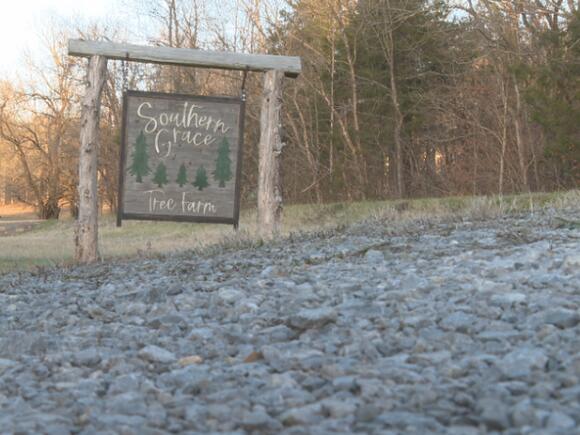 Live your life like a Hallmark movie by buying your own Christmas tree farm