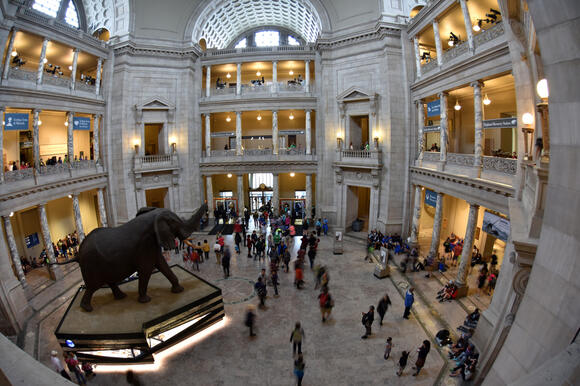 20 U.S. Cities That Are Great for Live Theater - NewsBreak