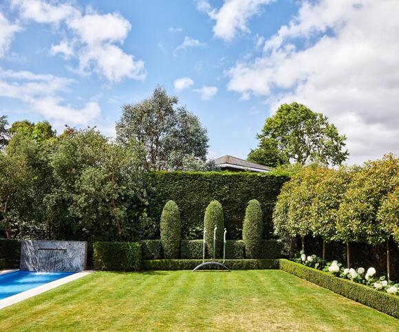 Can I cut my neighbor's hedge? Legal and real estate experts provide ...