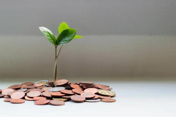 3 Lessons From Earth’s Most Successful Survivors That Financial ...