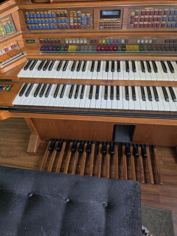 🎁 Freebies Up for Grabs in Beverly Hills, FL — Furniture & More - NewsBreak