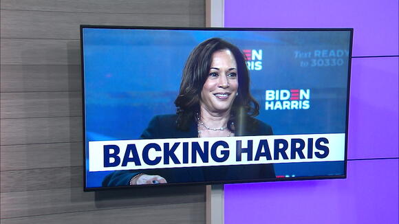 Newtown Action Alliance, other gun safety groups endorse Kamala Harris ...