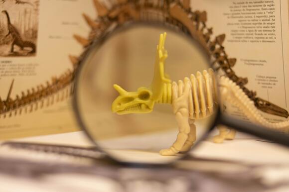 What Tools Do Paleontologists Use in the Field? - NewsBreak