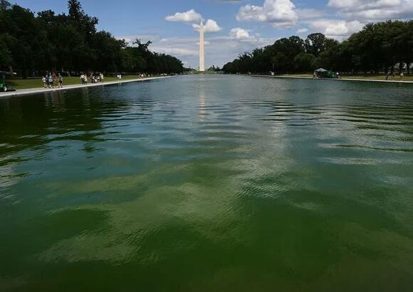Social Media Reacts After Reflecting Pool Turns Green Days After Donald ...
