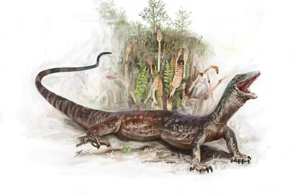 Fossil reveals new species of ancient Jurassic reptile which roamed ...