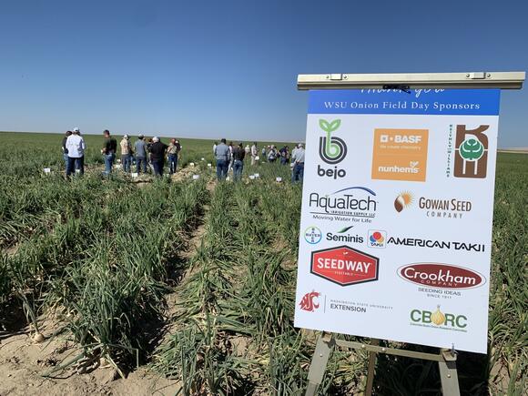 WSU To Hold Onion Field Day This Week - NewsBreak