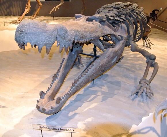 Ancient River Systems in the US Were Home to Gigantic Prehistoric ...