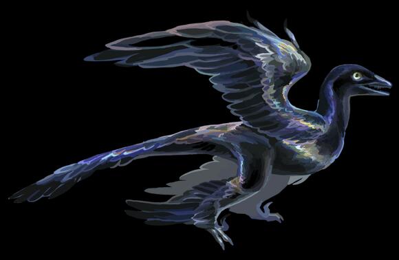 Microraptor vs. Pigeon: A Flight Comparison Across Eras - NewsBreak