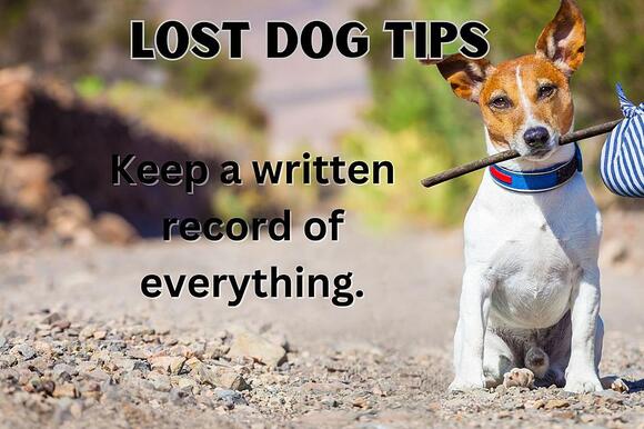 1.5 Million Bottles of Stain Remover Sold at Walmart and Target in WA ...