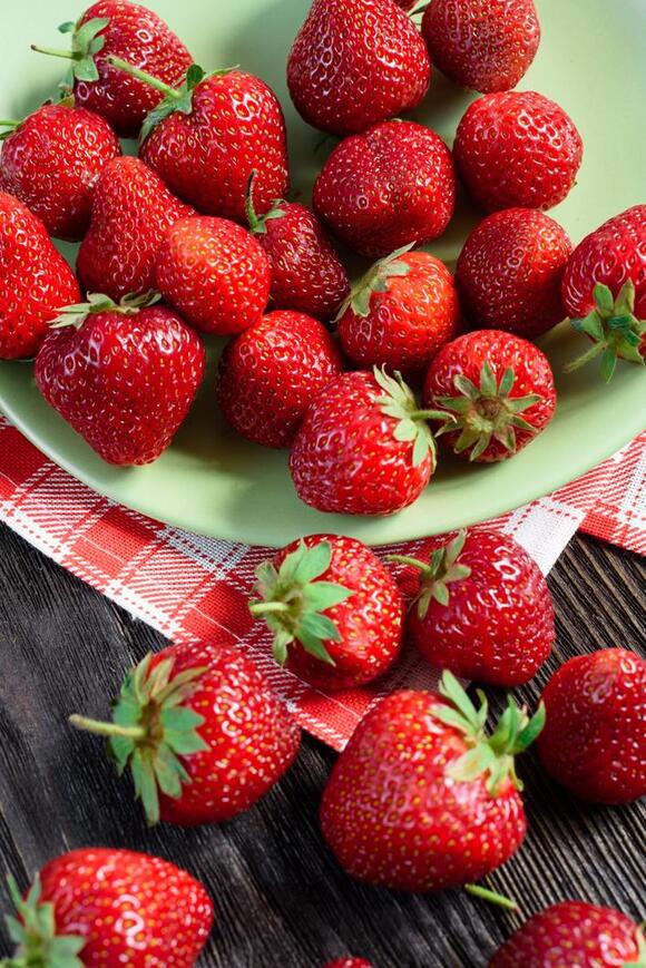 Trombly Gardens: Four Generations Of Strawberry Picking Joy - NewsBreak