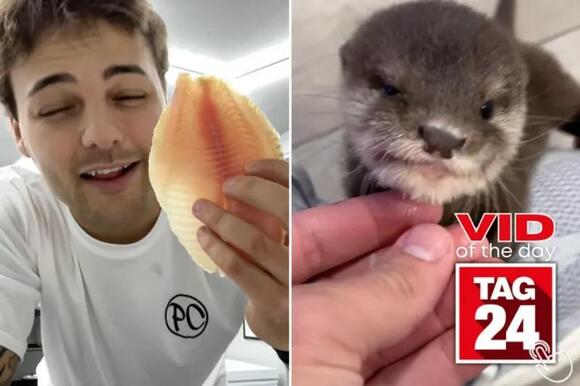 Viral Video of the Day for December 31, 2025: Baby otter tries fish for ...