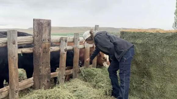 Idaho farmers struggle to find field workers, as many are ‘living in ...