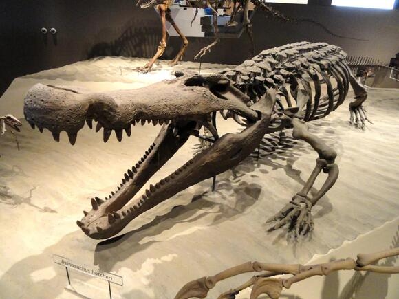 The Deadliest Apex Predators of Prehistoric Times - NewsBreak