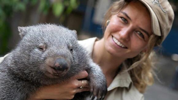 How Wombats Defend Their Burrows With Rock-Hard Backsides - NewsBreak