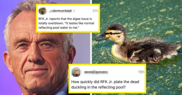 Literally Just 34 Funny Political Posts And, Yeah, A Lot Of Them Are ...