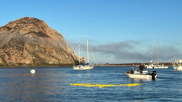 Rubber duck race returns to Morro Bay - NewsBreak