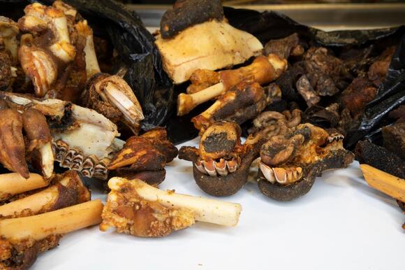Forbidden Foreign Food Seized at US Border - NewsBreak