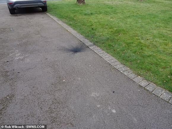 Driveway where 'extremely rare' Winchcombe meteorite worth £100,000 ...