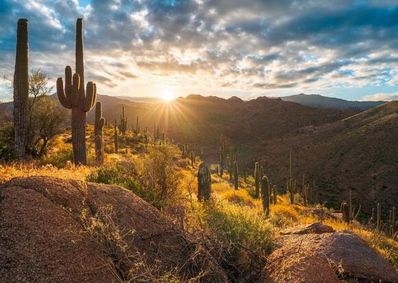 National forests with campgrounds open year-round in Arizona - NewsBreak