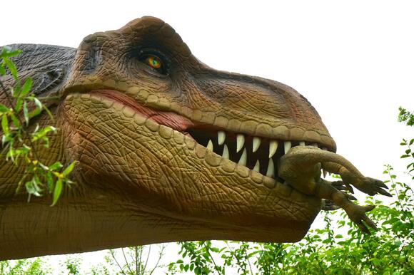 Did Dinosaurs Have Predators or Just Prey? - NewsBreak