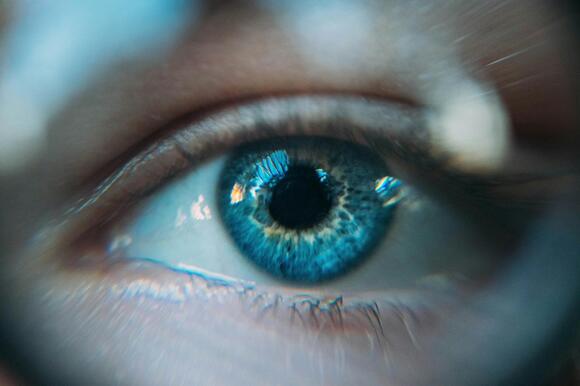 Wegovy Users Are Going Blind at 5 Times the Rate of Ozempic Users and ...