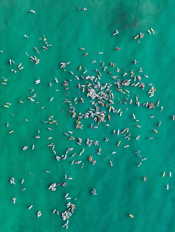 Making Waves During Swim to the Wreck - NewsBreak