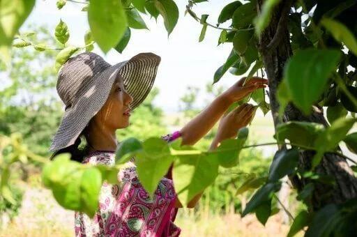 Seen Aromi's 'I Can't Help but Live Well On My Own' has become a ...