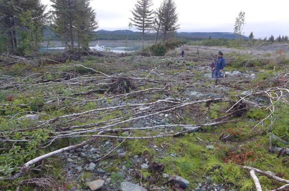 5 ways climate change boosts tsunami threat, from collapsing ice ...