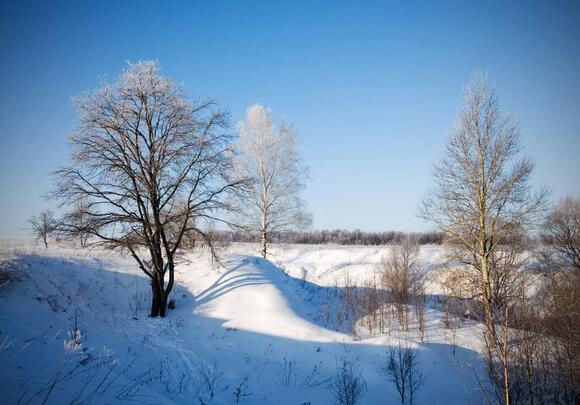 Extreme Weather Events Are Becoming the New Normal—And It’s Not All Bad ...