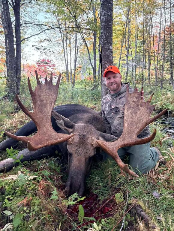 Maine hunters saw lower success rates in September bull moose season ...