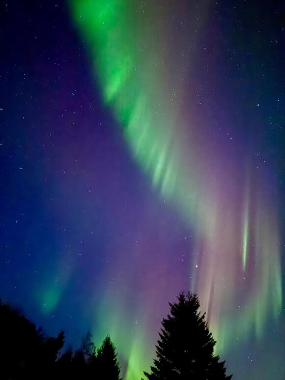 Northern lights may be visible across 15 states tonight, including NH ...