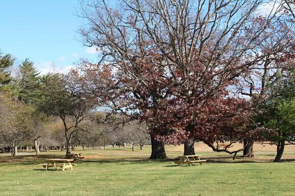 Reason Given for Early Closure of Poughkeepsie’s Spratt Park Pool ...
