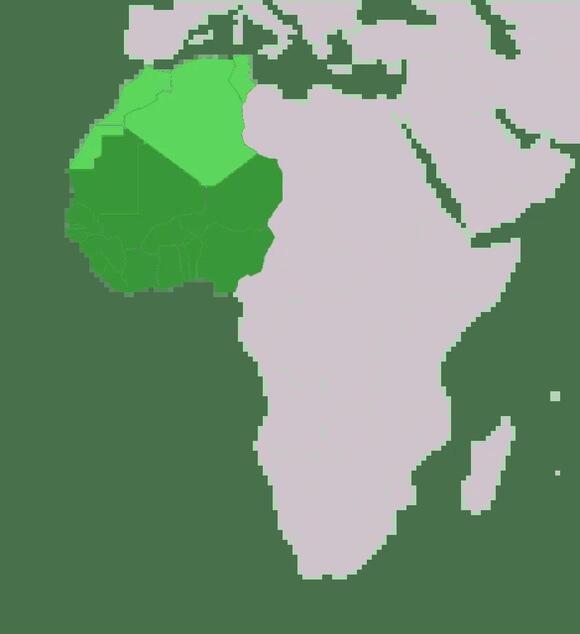 A Study of Palaeophis colossaeus – The Snake Who Made the Oceans ...