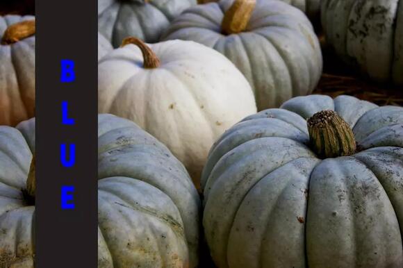 Halloween Safety Map: See Who’s In Your Neighborhood - NewsBreak