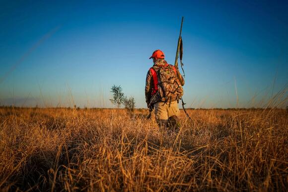 Montana Draw Results Dates 2026: Exactly When FWP Posts Every Species ...