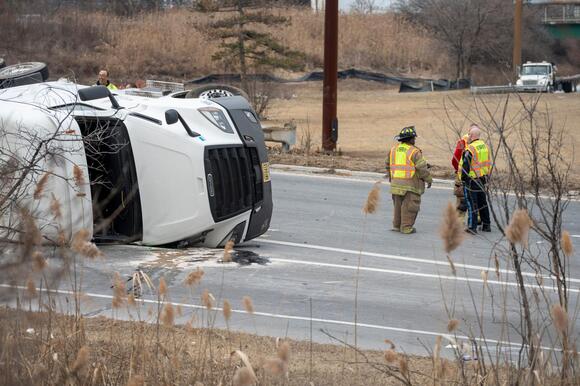Terrified Mom Guns Down Escaped Research Monkey - NewsBreak