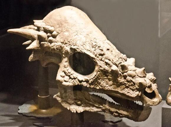 New Fossil Discoveries Are Changing Everything We Knew About Dinosaur ...