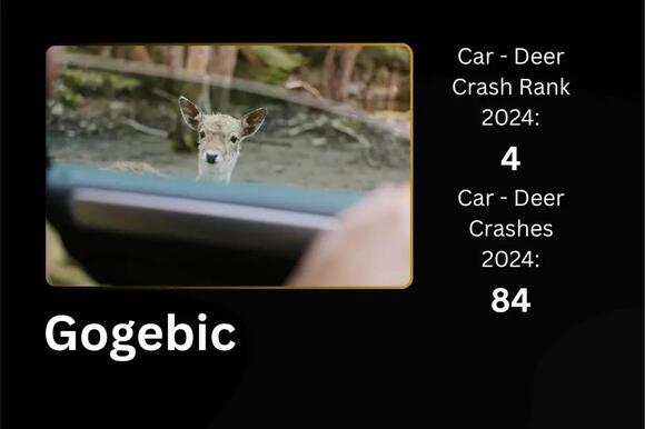 Michigan Winter Driving and Road Salt Limits - NewsBreak