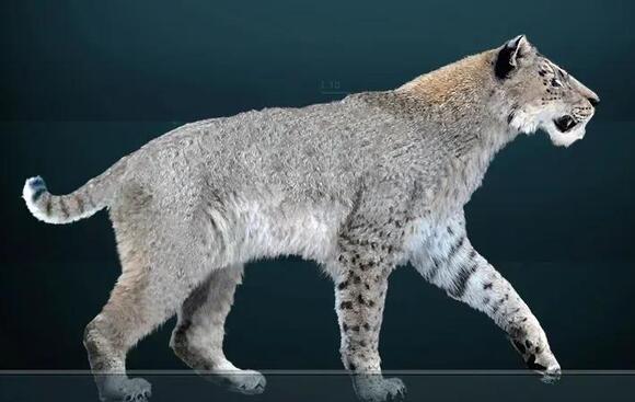 10 Lesser-Known Ice Age Creatures That Roamed Ancient North America ...