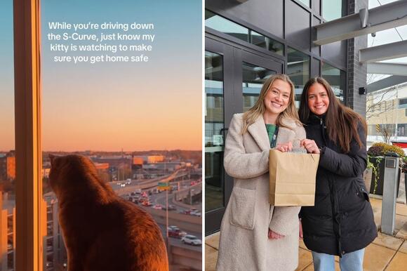 Viral S-Curve Kitty Inspires Donation to West Michigan Shelter - NewsBreak