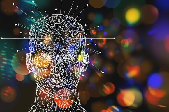 How Quantum Algorithms Could Optimize Wildlife Conservation Strategies ...