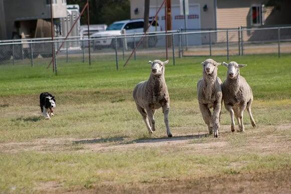 James Jordan Shares His Heartfelt Love For Jackson Hole - NewsBreak