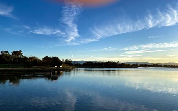 7 Bay-View Hikes Near Mountain View and Palo Alto That Fit a Half-Day ...