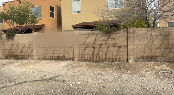 Neighbor speaks out after political graffiti appears near homes - NewsBreak