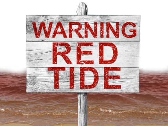 Red Tide Alert issued for Southwest Florida