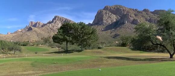 Golf course worker killed in horror bee swarm attack